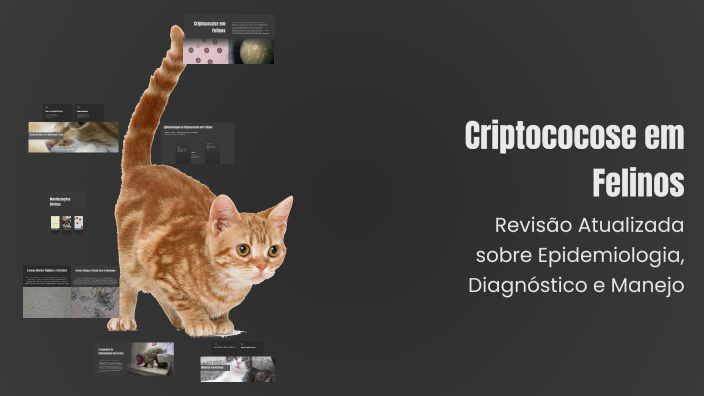 Criptococose em Felinos by André SX on Prezi