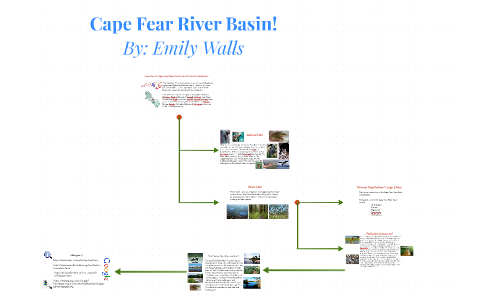 Cape Fear River Basin! by Emily Walls on Prezi