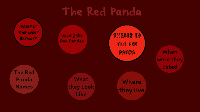 Red Panda by Hannah Yisrael-Morgan on Prezi