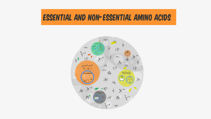 Essential vs Non Essential Amino Acids by kedar Paritkar on Prezi