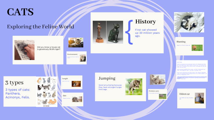 Cats by Caoimhe Luedtke on Prezi