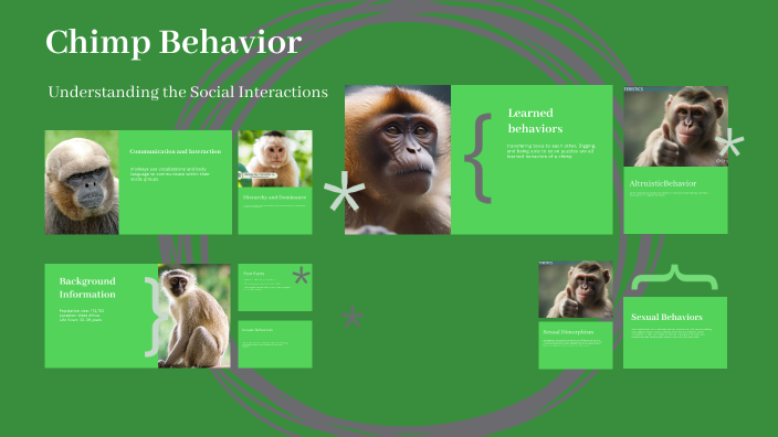 Chimp Behavior by Jefferson Johnson on Prezi