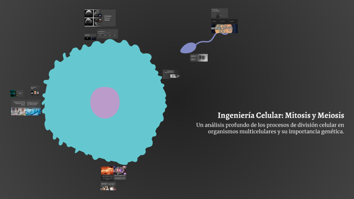 Ingeniería Celular: Mitosis y Meiosis by Ismael Caro on Prezi
