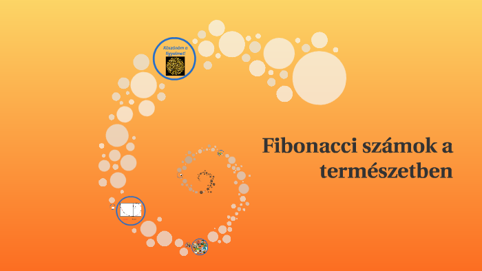 Fibonacci számok a természetben by Eszti Hortobágyi on Prezi
