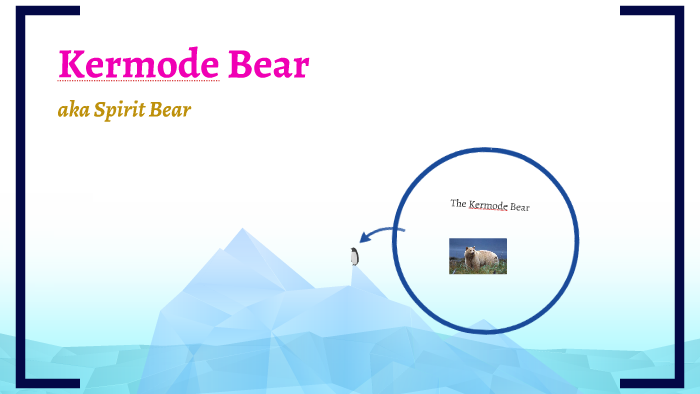 Kermode Bear by catie cable on Prezi
