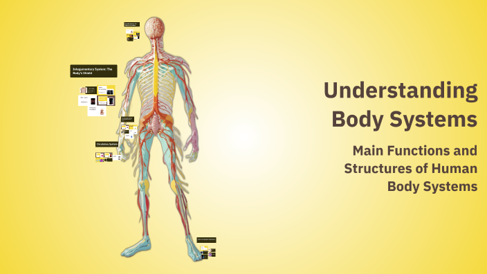 Understanding Body Systems by Raheem Knowles on Prezi
