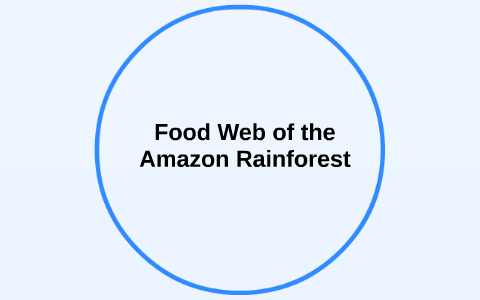 Food Web of the Amazon Rainforest by Samantha Dunbar on Prezi