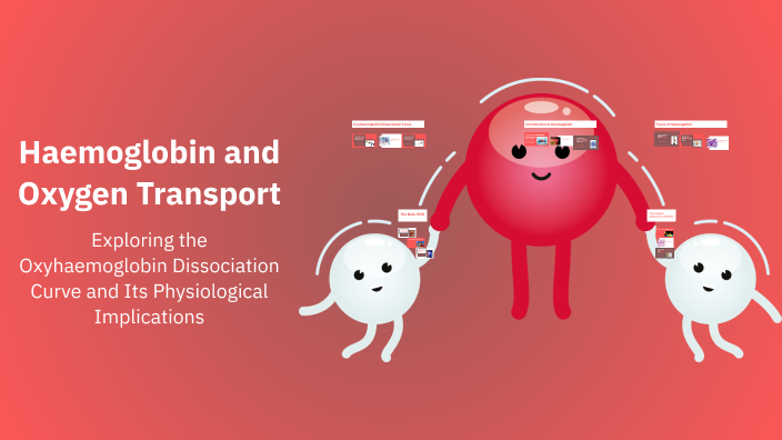 Haemoglobin and Oxygen Transport by Graham Baily on Prezi