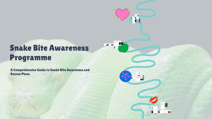 Snake Bite Awareness Programme by g anand on Prezi