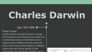 Charles Darwin Timeline by Claire Johnson on Prezi Design