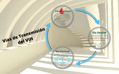 Vías de Transmisión del VIH by Jessica Rodriguez on Prezi
