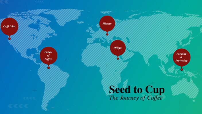 Seed to Cup: The Journey of Coffee by Michael Mendoza on Prezi