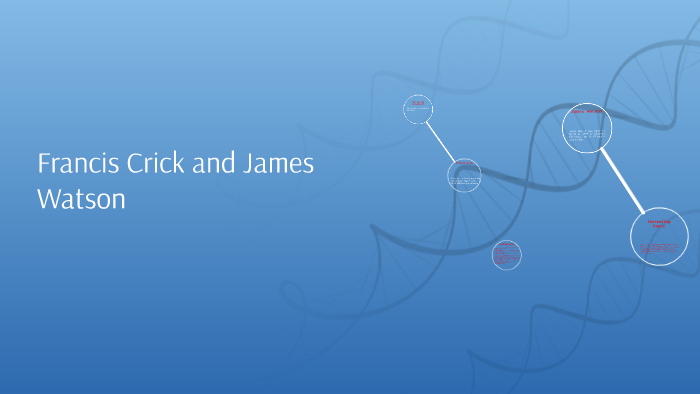Francis Crick and James Watson by Grace Root