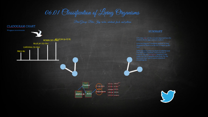 06.01 Classification of Living Organisms by Haily Clark