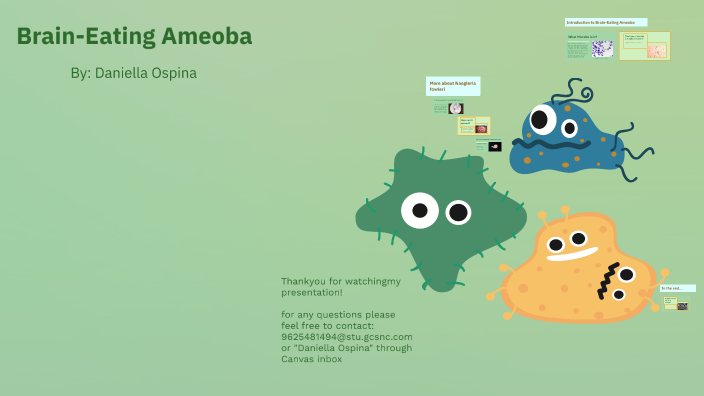 Brain-Eating Bacteria: A Closer Look by Daniella Ospina on Prezi