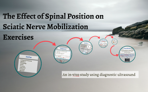 The Effect of Spinal Position on Sciatic Nerve Mobilization by Janessa ...