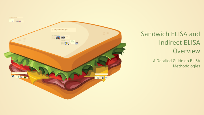 Sandwich ELISA and Indirect ELISA Overview by زياد احمد on Prezi