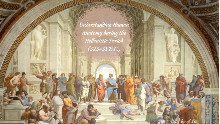 The Hellenistic World: Drawing Conclusions on Human Anatomy by Cheryl ...