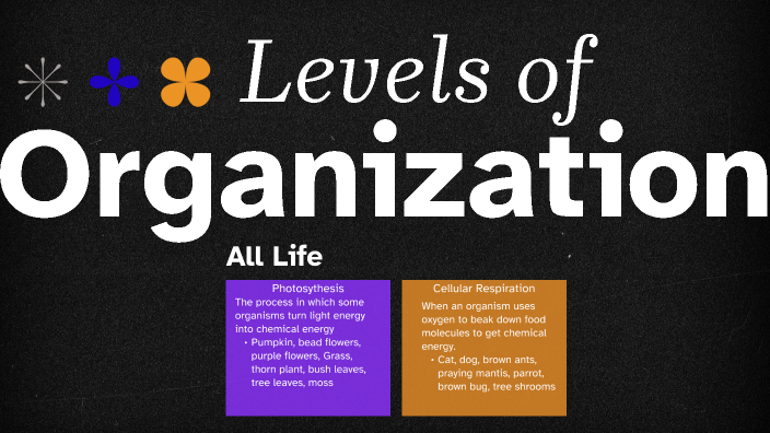Levels of Organization by Leah Laird on Prezi