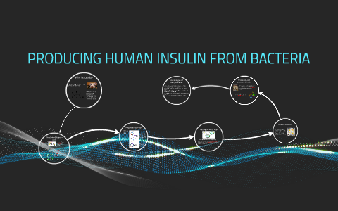 PRODUCING HUMAN INSULIN FROM BACTERIA by Molly Jameson on Prezi