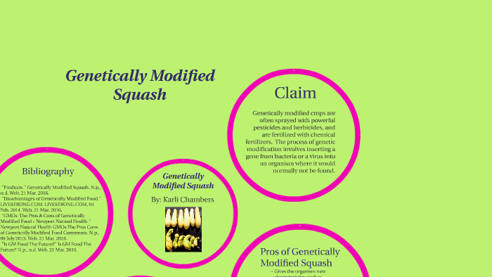 Genetically Modified Squash by Karli Chambers on Prezi