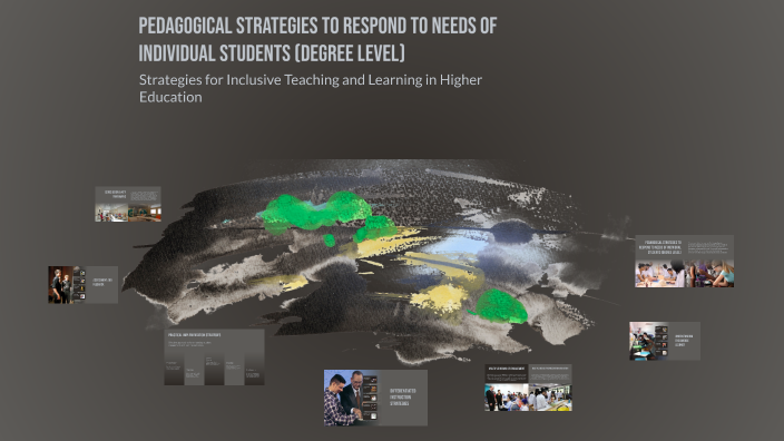 Pedagogical Strategies to Respond to Needs of Individual Students ...