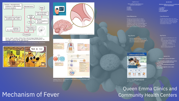 Fever Mechanism and Queen Emma Clinics by Joshua Grube on Prezi