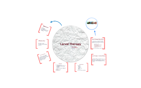 Case Study: Larval Therapy by Maricel Laquindanum on Prezi