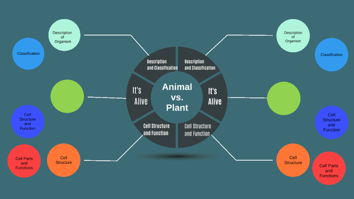 Plant and Animal Comparison Template by Kylie Schappeler on Prezi