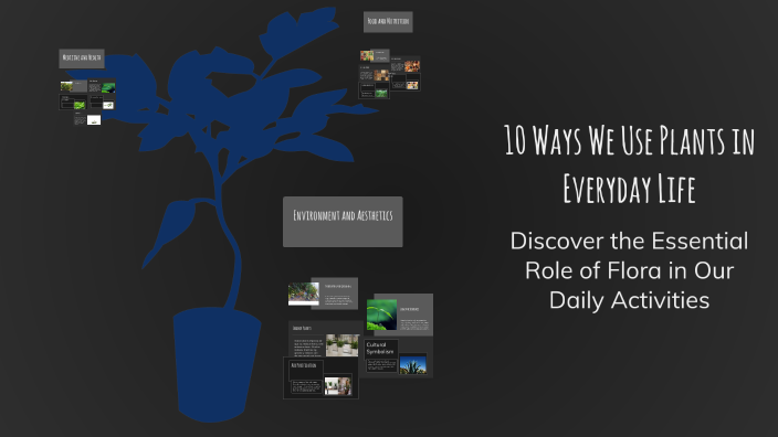 10 Ways We Use Plants in Everyday Life by Maria Gonzalez on Prezi