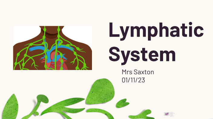 Lymphatic System by Deborah Saxton on Prezi