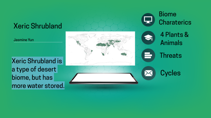 Midterm: Xeric Shrubland by Jasmine yun on Prezi