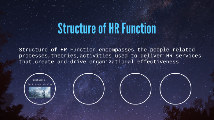 Structure of HR Function by laura hamidova on Prezi