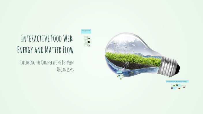 Interactive Food Web: Energy and Matter Flow by Maggie Hogue on Prezi
