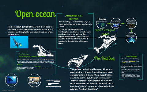 OPEN OCEAN marine ecosystem by ashley lewis on Prezi