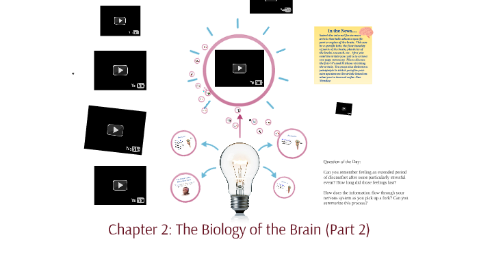 Chapter 2: The Biology of the Brain (Part 2) by Chris Johnson on Prezi