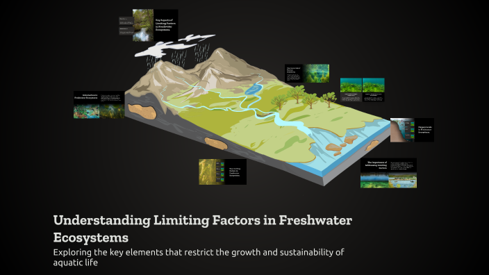Understanding Limiting Factors in Freshwater Ecosystems by Nokwanda ...