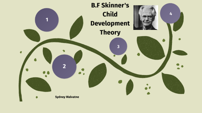 B.F Skinner Child Theory by Sydney Walvatne on Prezi