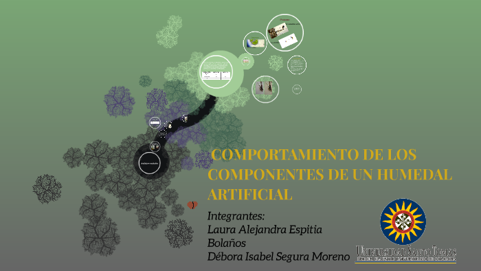 COMPORTAMIENTO DE LOS COMPONENTES DE UN HUMEDAL ARTIFICIAL by Isabel ...