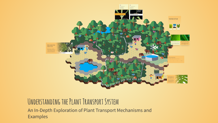 Understanding the Plant Transport System by shenna gomez on Prezi