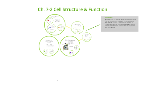 P. 4 Group 1: Ch. 7-2 Cell Structure & Function by Eric Brumbaugh