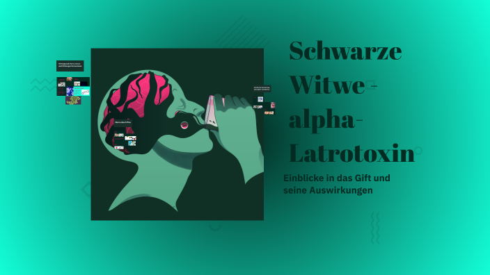 Schwarze Witwe - alpha-Latrotoxin by Selina Weidenhaupt on Prezi