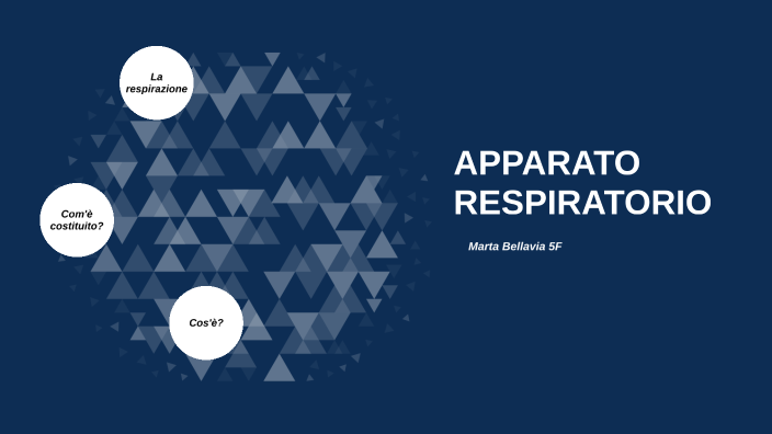 Apparato respiratorio by Marta Bellavia on Prezi