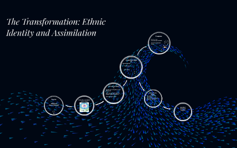 The Transformation: Ethnic Identity and Assimilation by Michael Diep