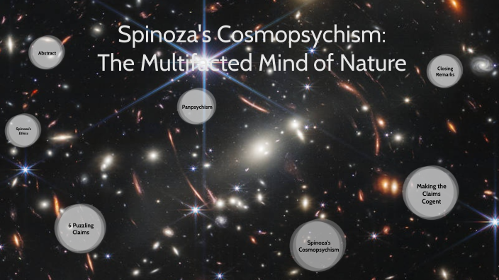 Spinoza's Cosmopsychism: The Multifaceted Mind of Nature by Audrey ...