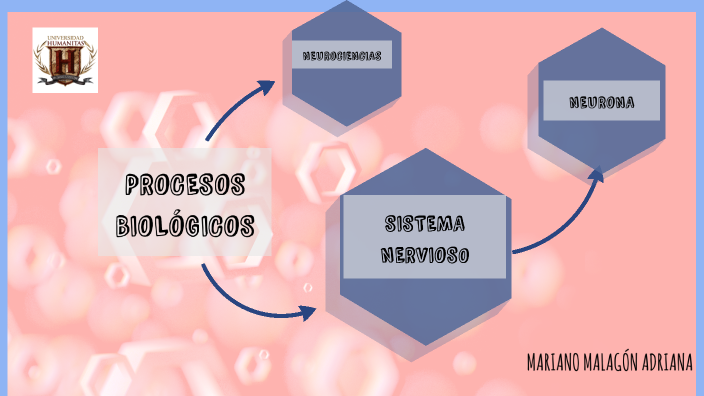 PROCESOS BIOLÓGICOS by ADRIANA MARIANO on Prezi