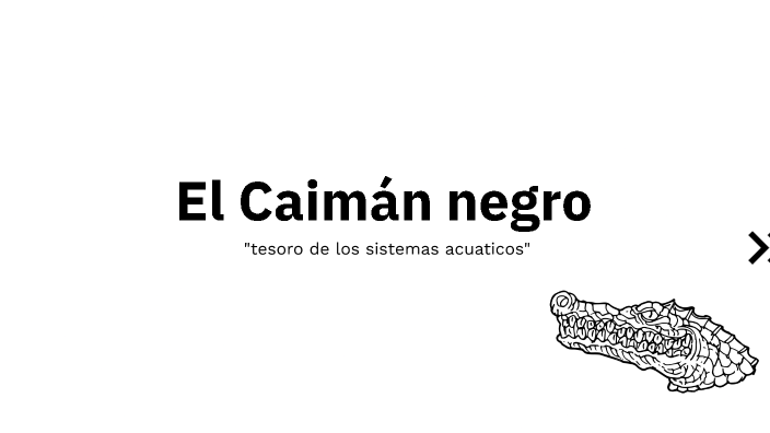 el caiman negro - Samir saban g. - 9-2 by samir saban on Prezi
