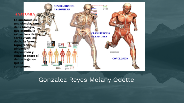 Generalidades anatómicas y clasificación de lesiones by odette reyes on ...