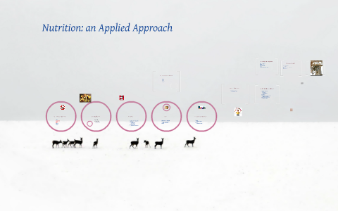 HED 151 Nutrition by Jarred Boan on Prezi