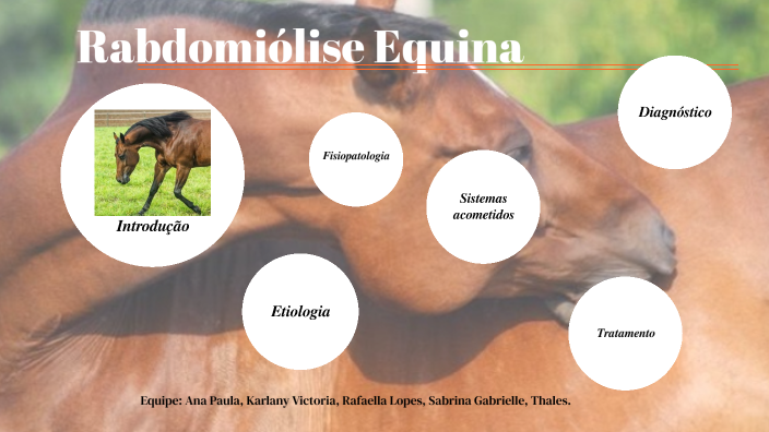 Rabdomiólise equina by Karlany Victoria on Prezi